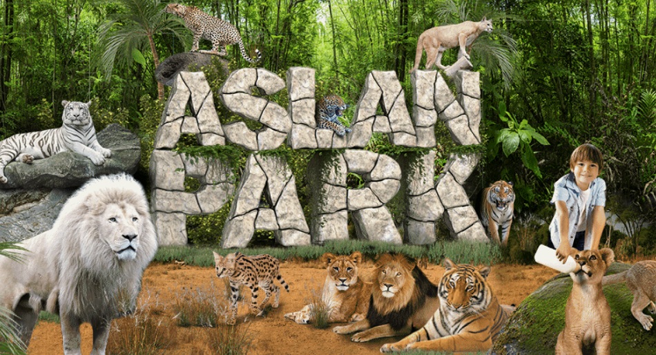 Aslan Park Tuzla – Tuzla'nın Portalı